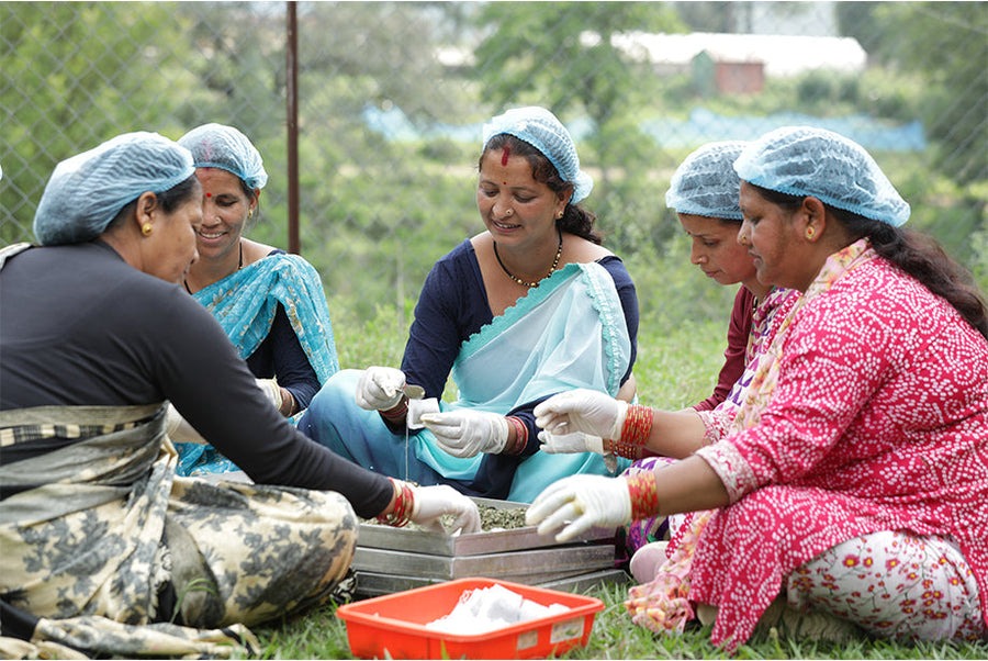 Using tradition for transformation: How Himalayan women are redefining ...