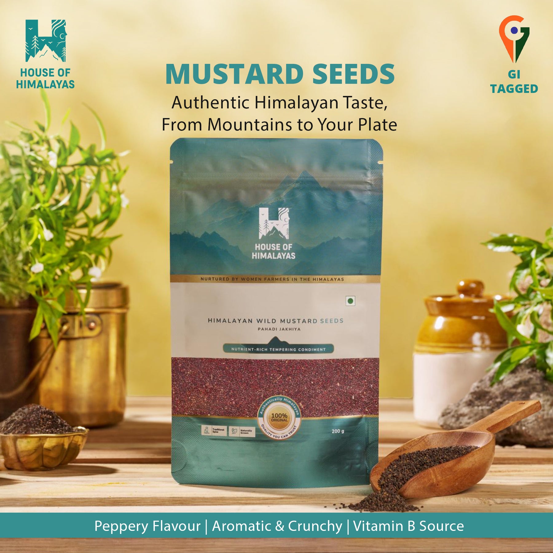 Himalayan Wild Mustard Seeds (Pahadi Jakhiya) – House of Himalayas